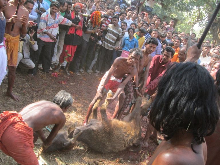 Tribals announce to observe Sulia Yatra as per ritual - Update Odisha ...